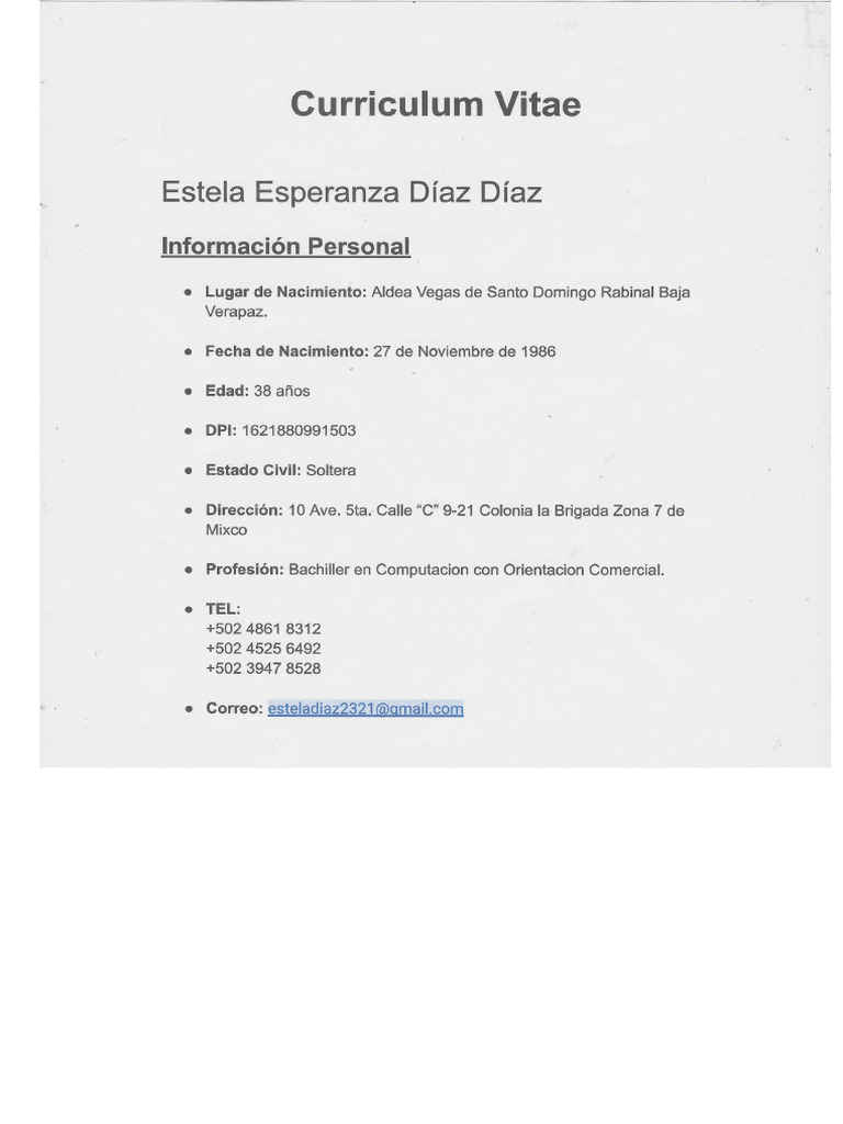 Curriculum Vitae 1 | PDF