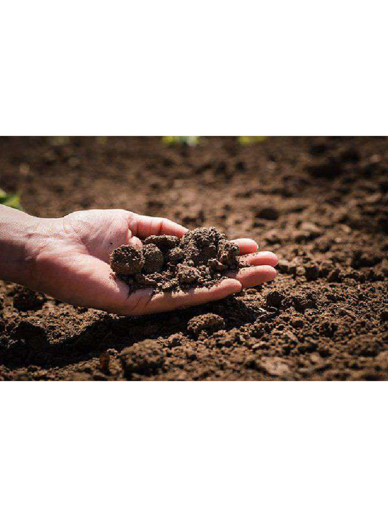 Soil W | PDF