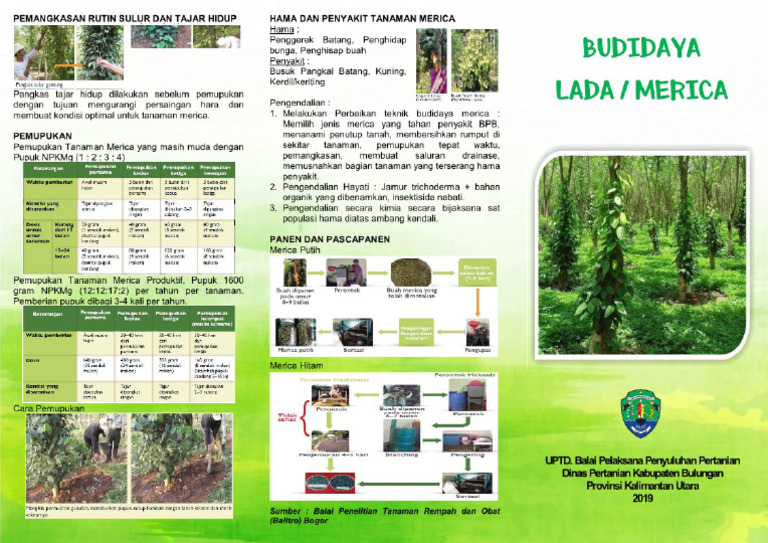 Lada 2 | PDF