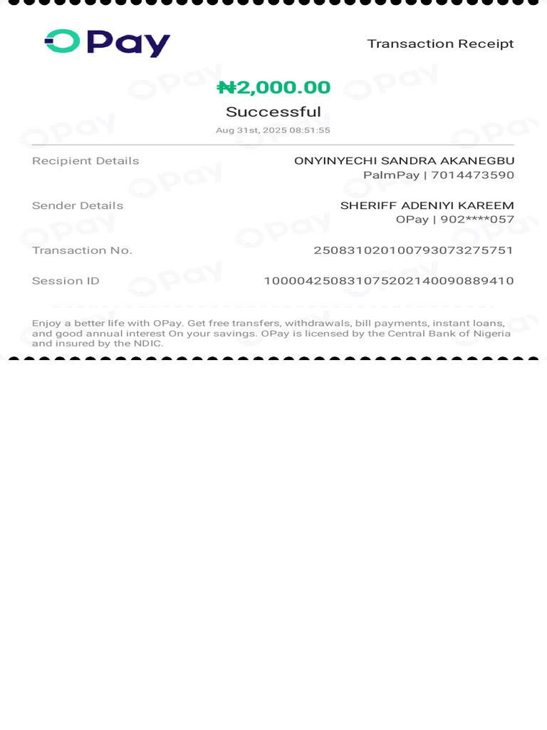 Successful OPay Transaction Receipt | PDF