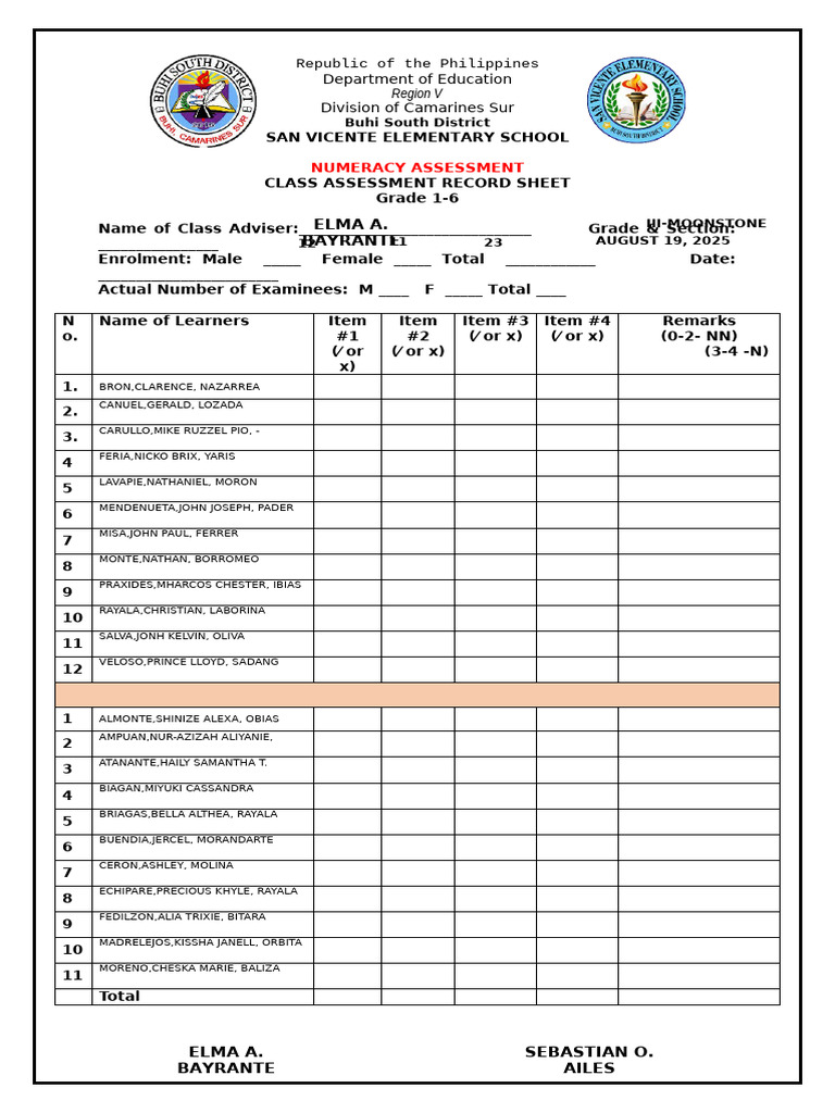 Literacy and Numeracy Assessment Records | PDF