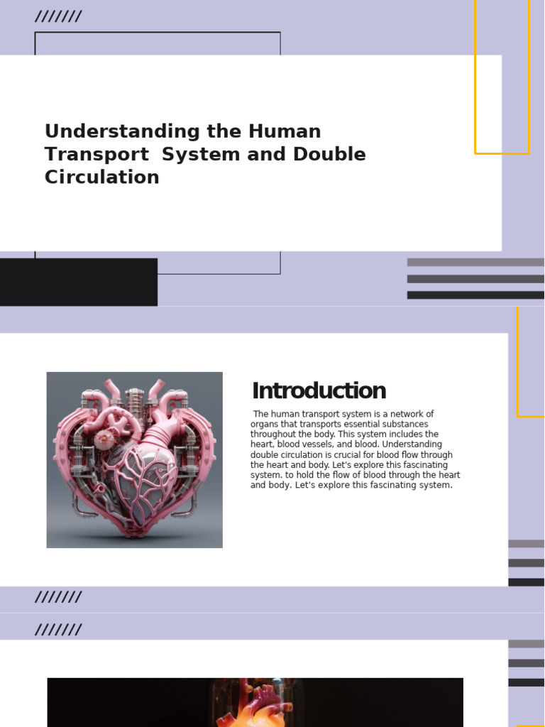 Slidesgo Understanding The Human Transport System and Double ...
