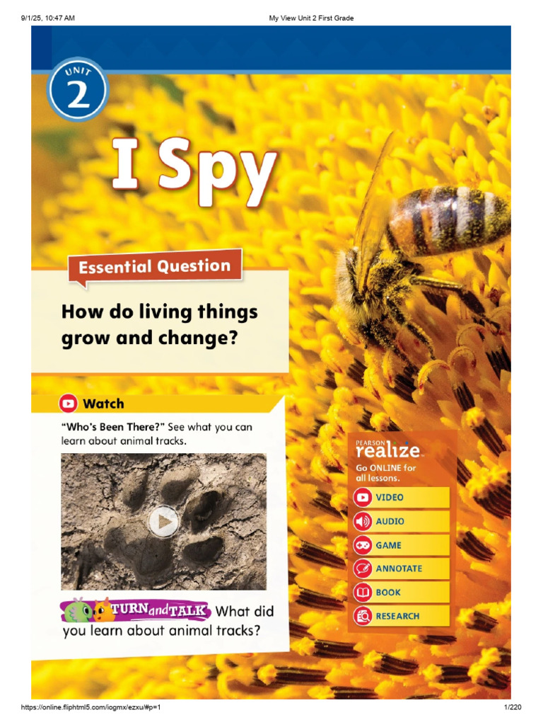 My View Unit 2 First Grade | PDF