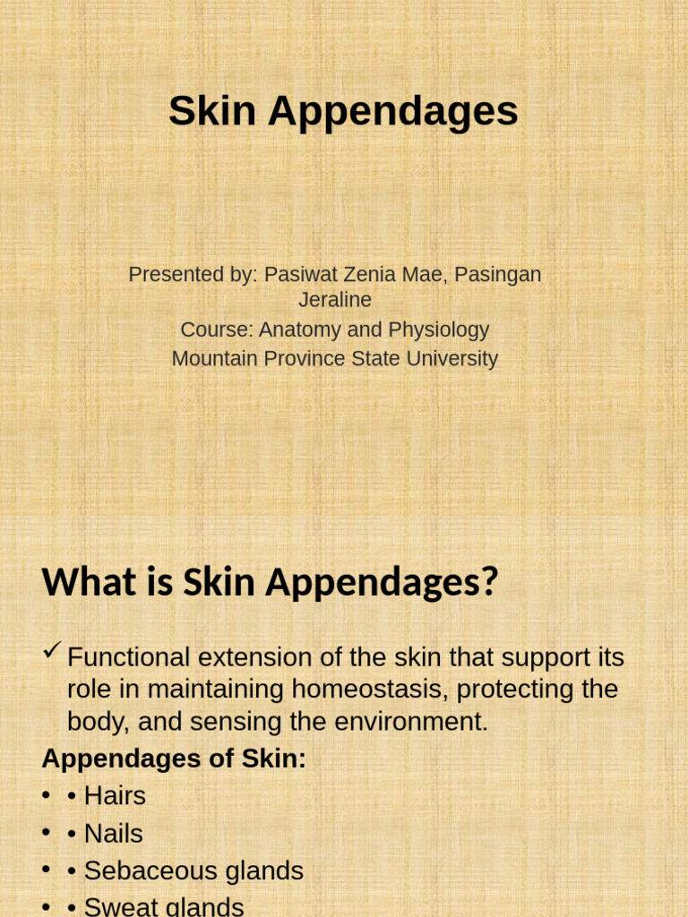 Overview of Skin Appendages | PDF | Skin | Hair