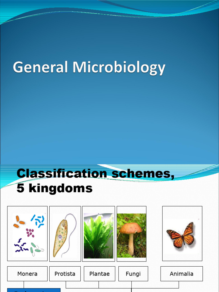 2.introduction Microbiology | PDF | Virus | Bacteriophage