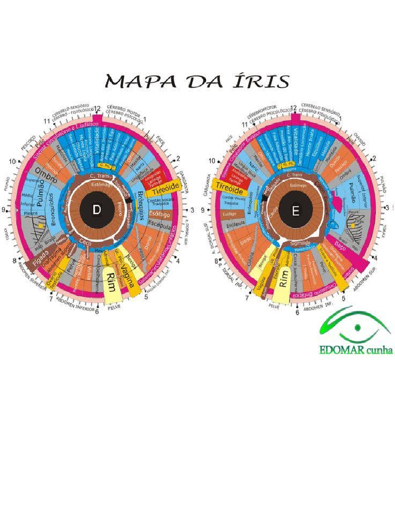 Mapa de Iridiologia | PDF