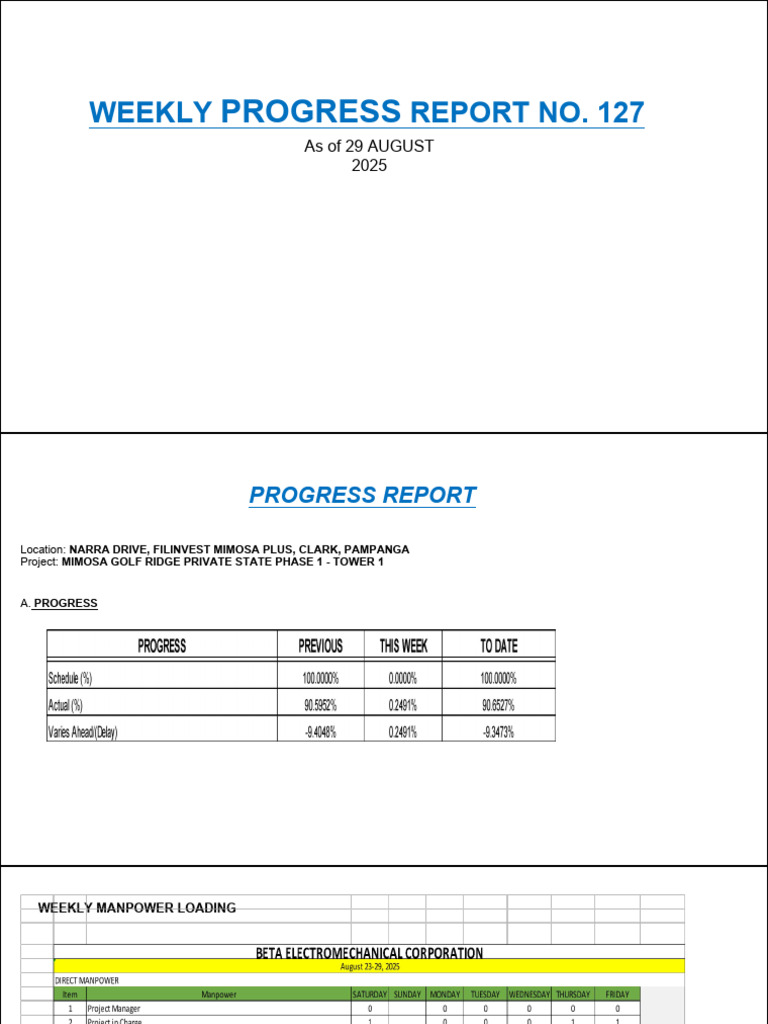 Weekly Progress Report 127 | PDF