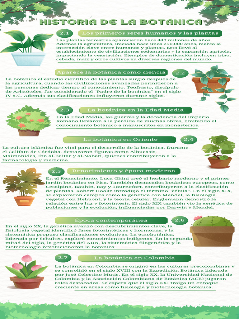 Historia de la Botánica y su Evolución | PDF | Botánica | Plantas