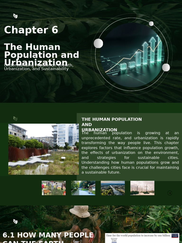 Population Growth and Urbanization Insights | PDF | Urban Sprawl ...