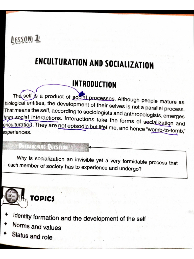 Socialization & Enculturation | PDF