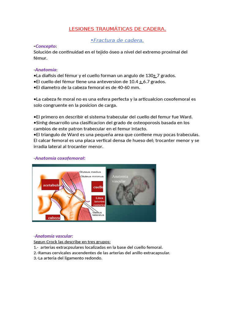 Lesiones Traumáticas de Cadera | PDF | Rodilla | Sistema musculoesquelético