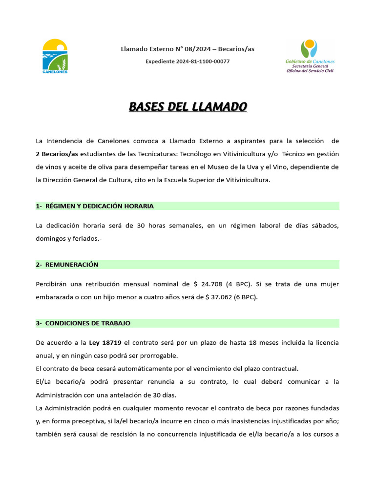 Bases Instrucciones Basicas de Municipios | PDF