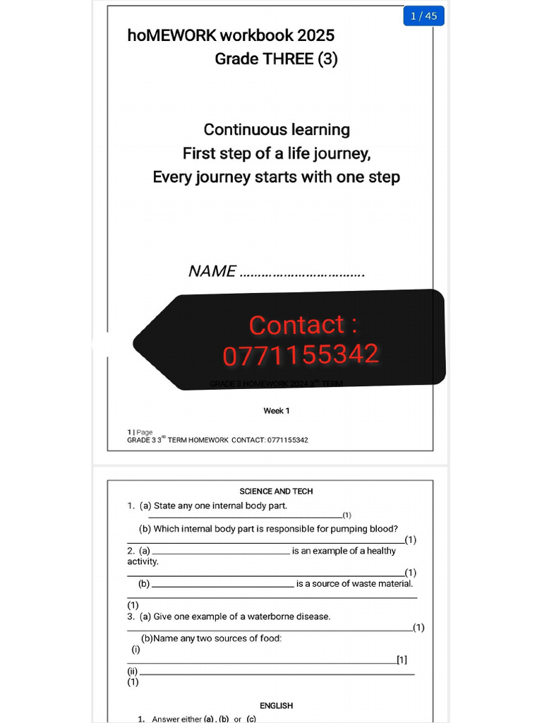 Grade 3rd Term Homework Sample 0771155342 | PDF