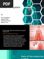 Endocrine System Worksheet | PDF | Endocrine System | Hormone