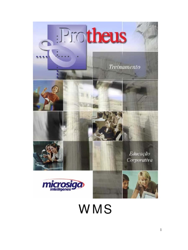 Microsiga Protheus WMS | PDF | Embalagem e rotulagem | Logística