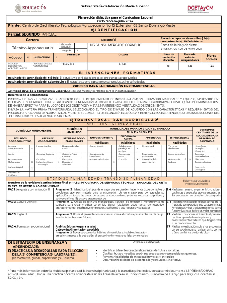 Secuencia Didactica Submodulo SEGUNDO Parcial | PDF | Las emociones | Enseñando