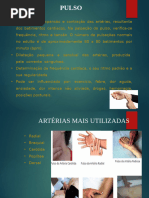 Verificação Pulso Apical | PDF | Coração | Frequência cardíaca