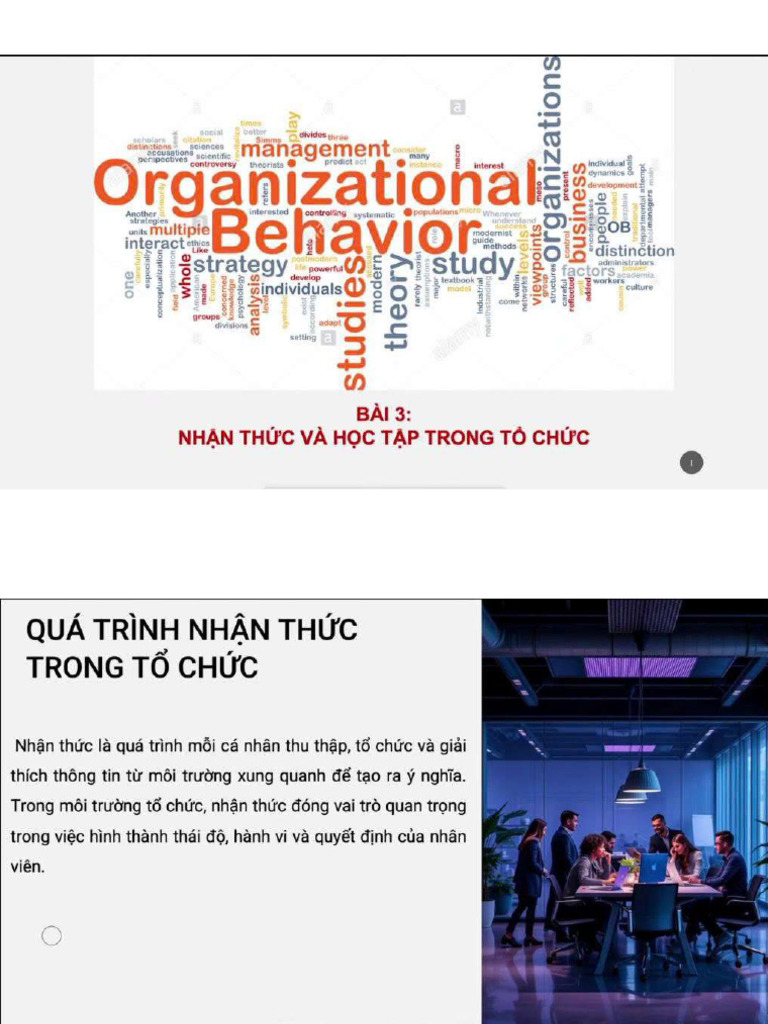 Slide Hành Vi T CH C | PDF