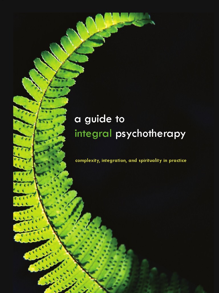 A Guide To Integral Psychotherapy | PDF | Transpersonal Psychology ...