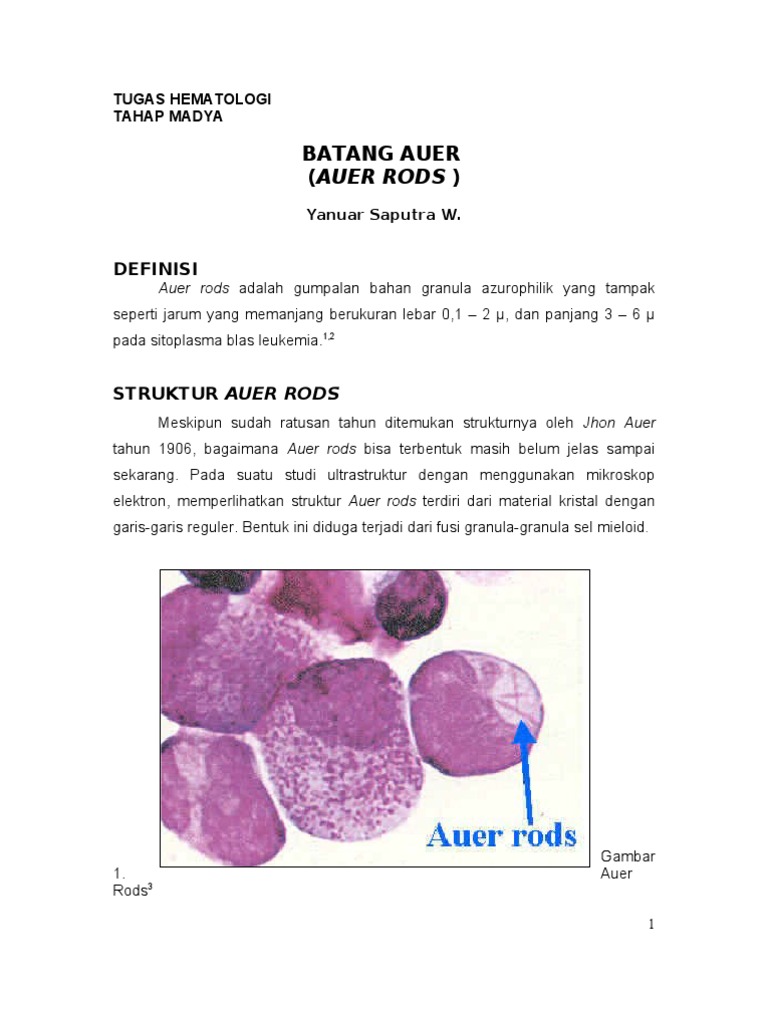 Auer's Rod | PDF | Seni | Sains & Matematika