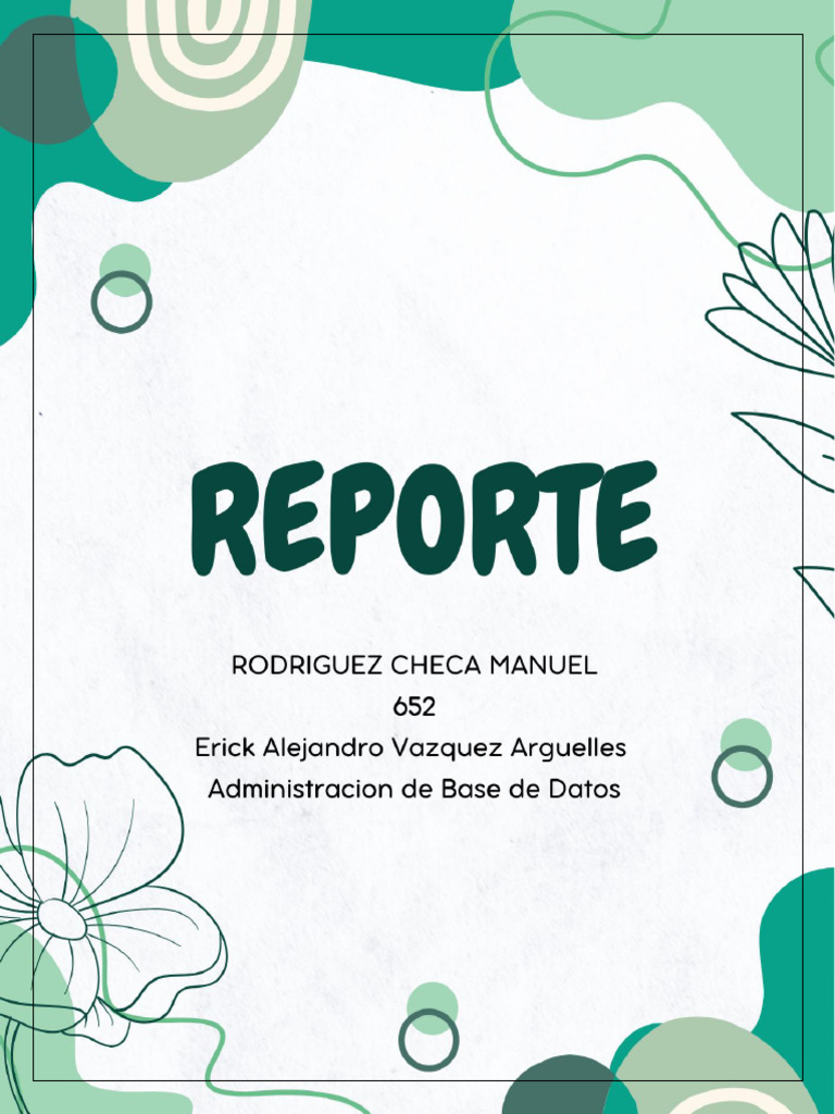 Reporte Base de Datos | PDF | Bases de datos | Usuario (informática)