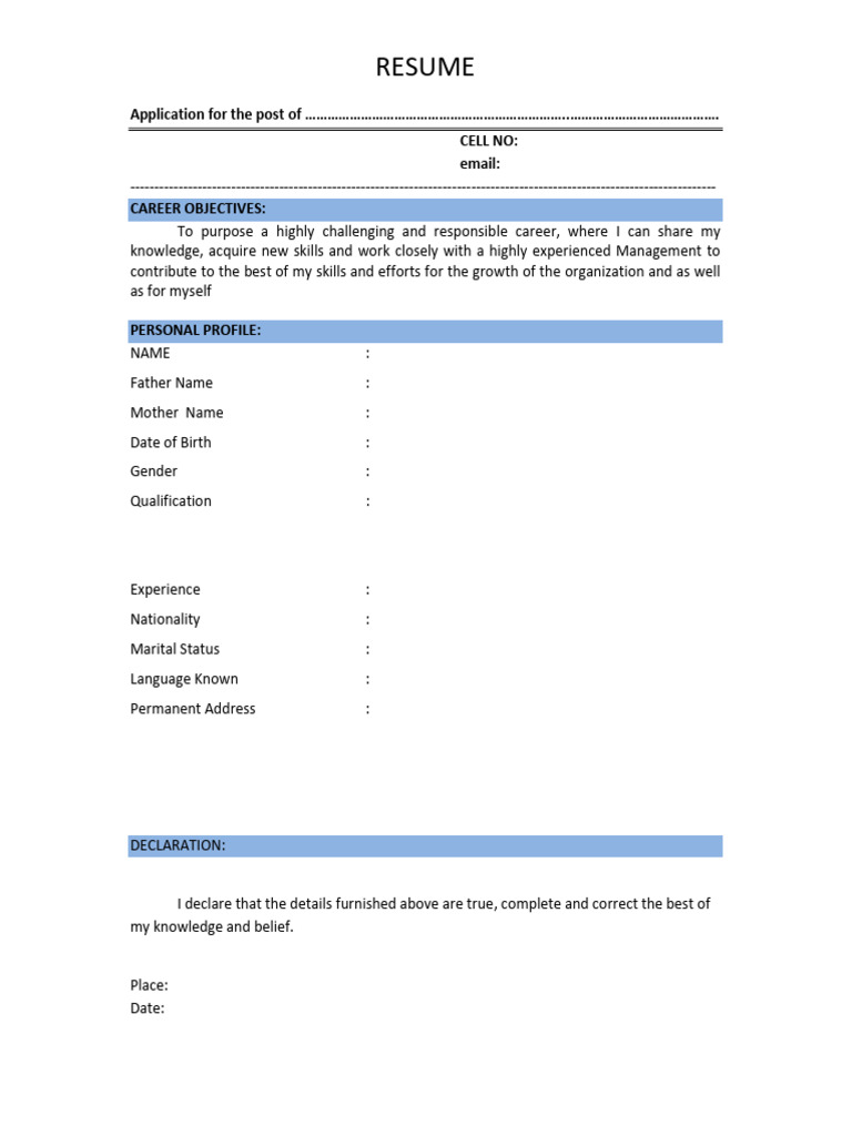 Empty Resume Template | PDF
