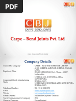 Carber Plug Testing and Isolation Services | PDF | Pipe (Fluid ...