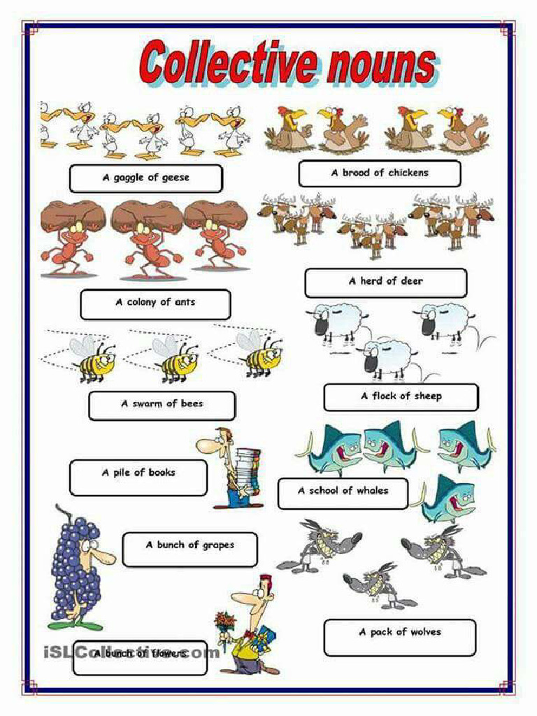 2 Collective Noun Chart | PDF