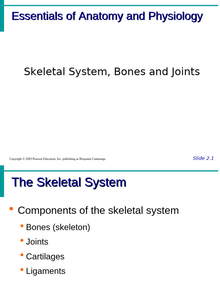 Anatomy and Physiology of Bones | PDF | Bone | Skeleton