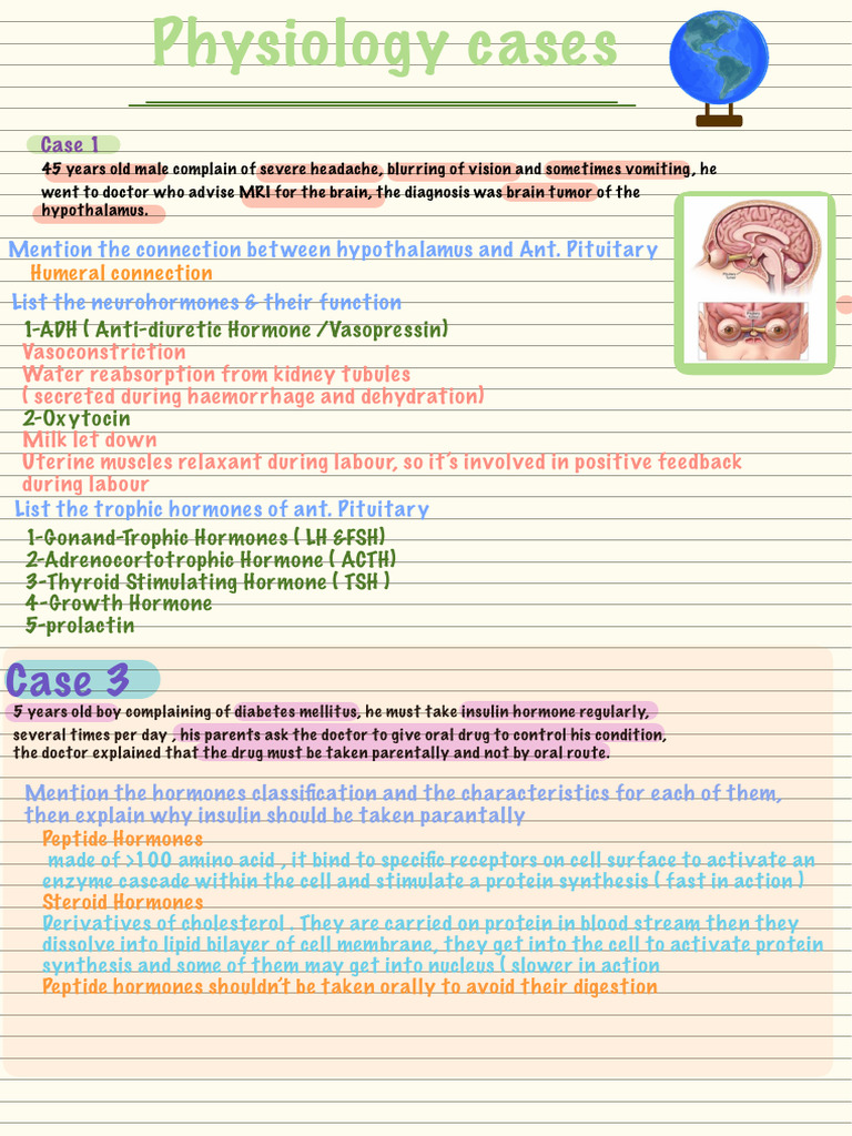 Physiology Cases Endocrine | PDF | Thyroid | Hormone