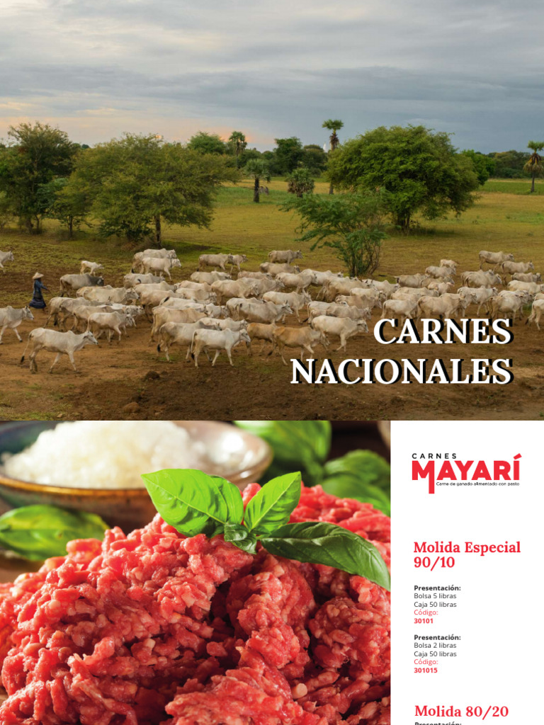 Cat Logo Carnes Nacionales | PDF | filete | Cocina occidental