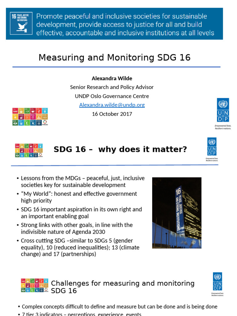 Monitoring and Measuring SDG 16 | PDF | Economic Development | Social ...