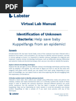 Lab Report - Identification of Unknown Bacteria - Updated | PDF ...