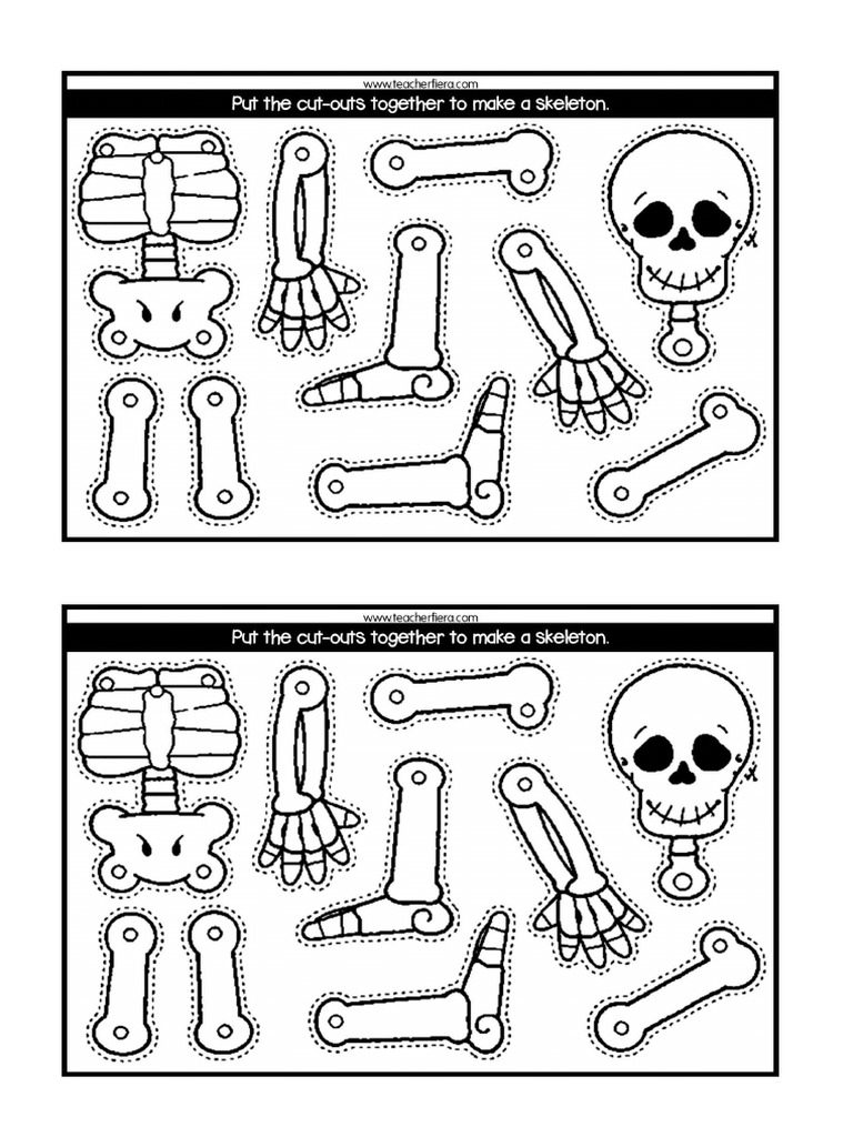 Skeleton | PDF