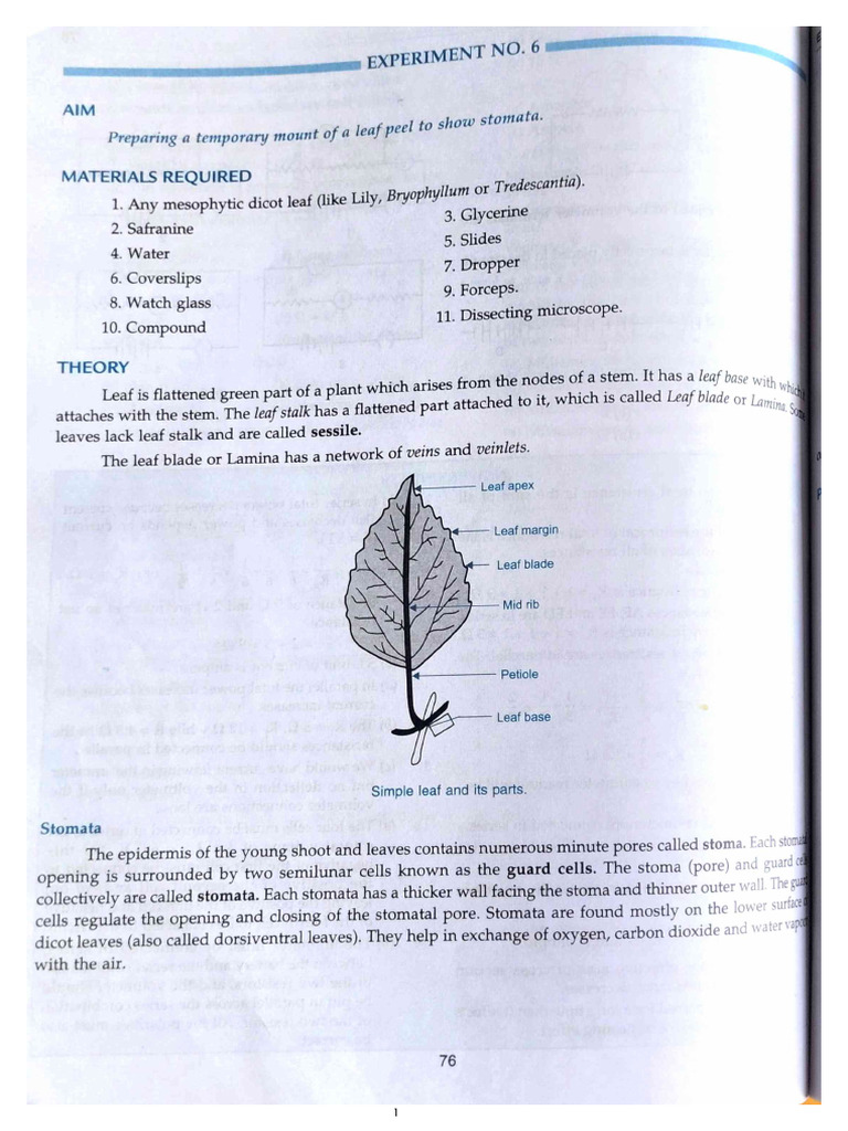 Bio Practical 10th Class | PDF