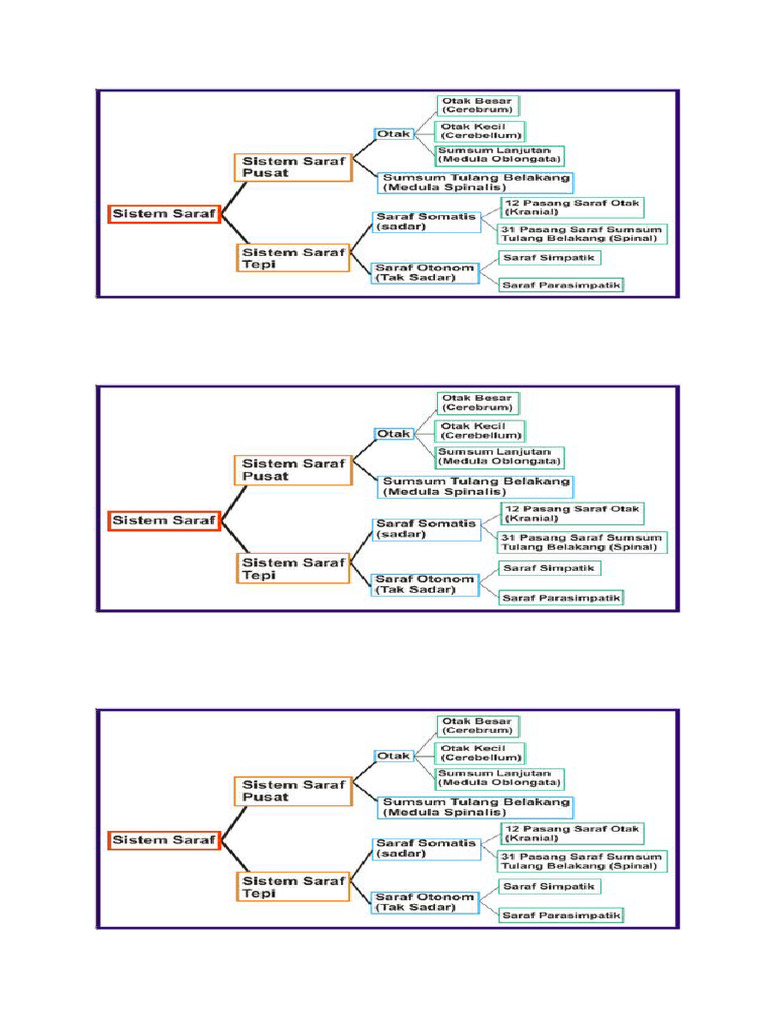 Gerak Sadar Dan Refleks | PDF