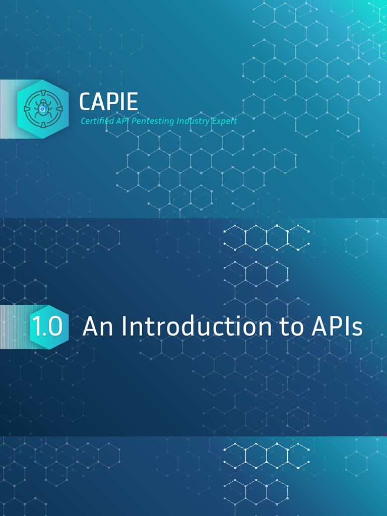 CAPIE - Chapter 1.1 - What Is An API | PDF