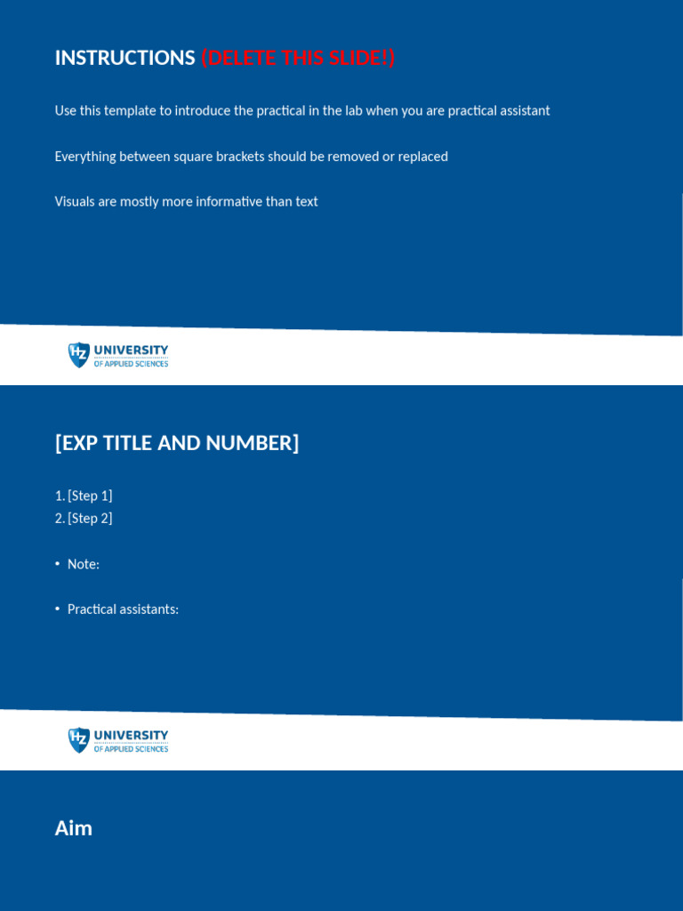 TEMPLATE Practical Assistant | PDF