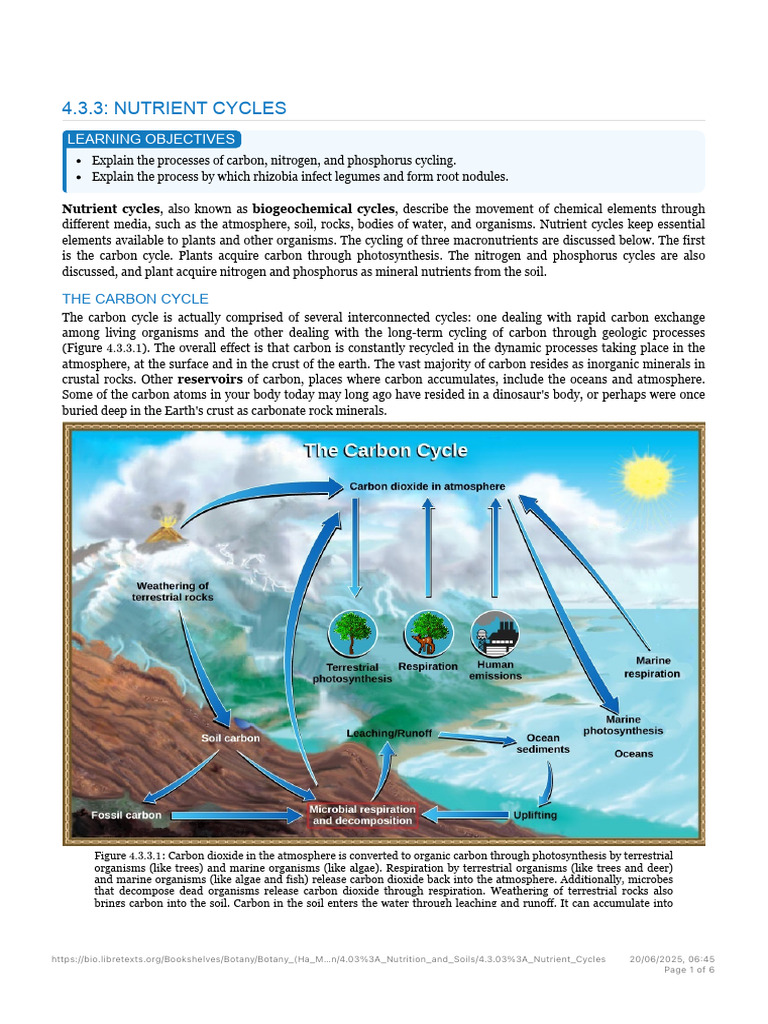 4.3.3 - Nutrient Cycles - Biology LibreTexts | PDF | Carbon Cycle ...