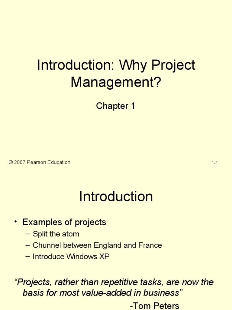 Pinto ch1 | PDF | Project Management | Accountability