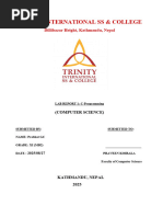 C Lab Report Cover Page (PLK Computer SIR) | PDF