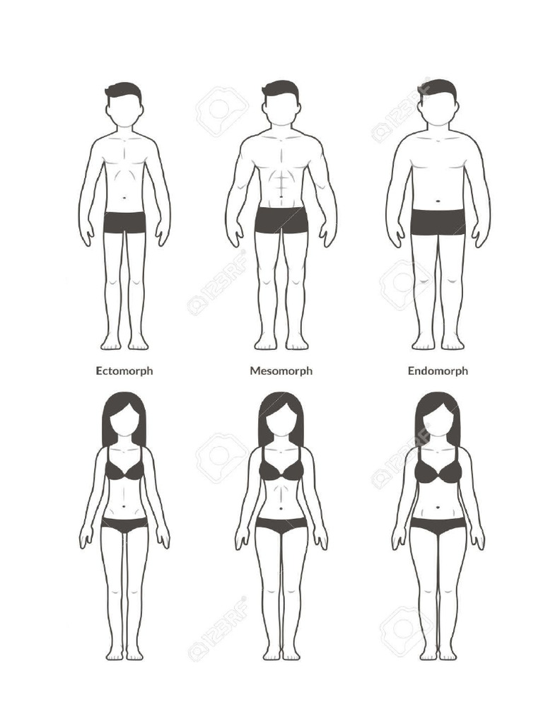 Body Types | PDF