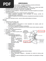 Garrotilho e Mormo em Equídeos: Revisão | PDF | Medicina Veterinária ...