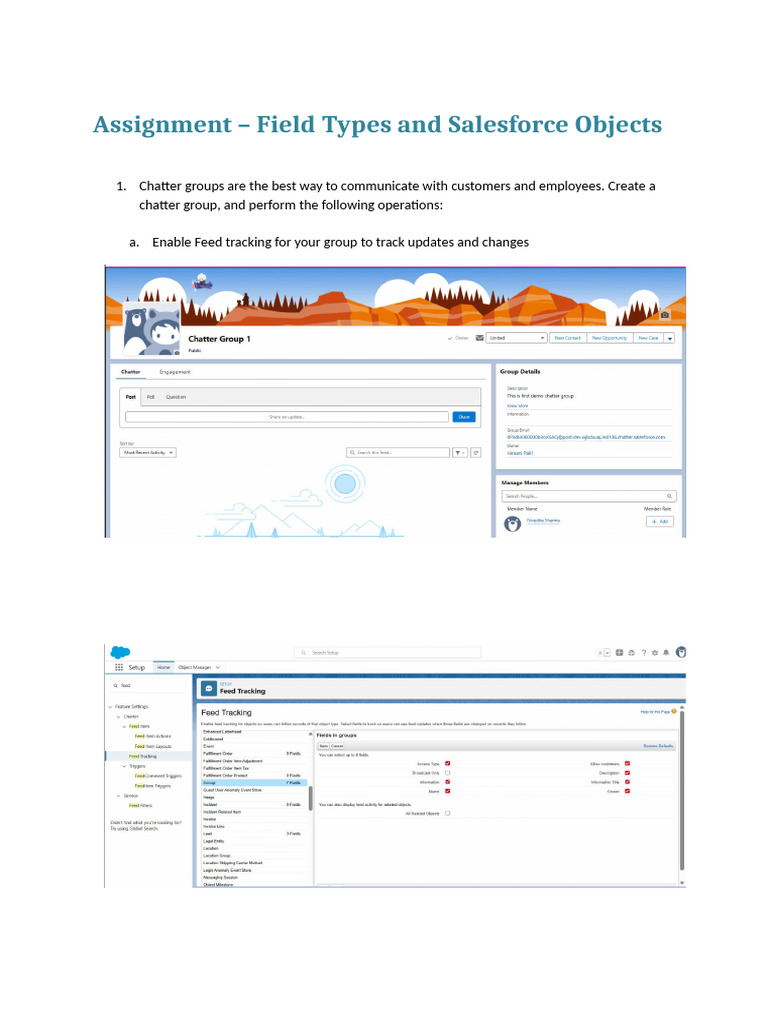 Salesforce Chatter Group Setup Guide | PDF