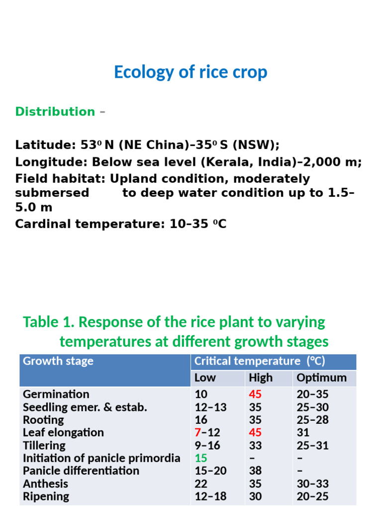 Ecology of Rice Crop | PDF | Rice | Plants