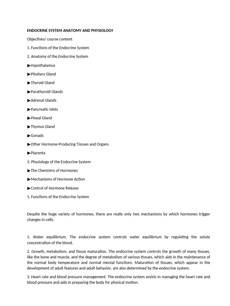 Endocrine System Anatomy & Functions | PDF | Endocrine System | Hormone