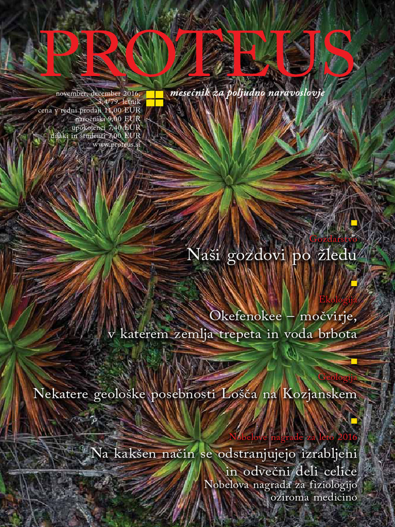 Proteus_URN_NBN_SI_DOC-1ER0PN43 | PDF