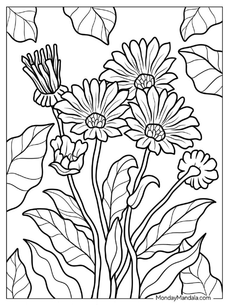 Realistic Pot Marigolds Coloring Sheet | PDF