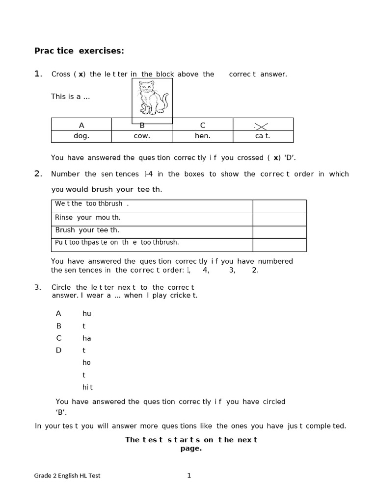 Grade 2 English Test Practice Guide | PDF