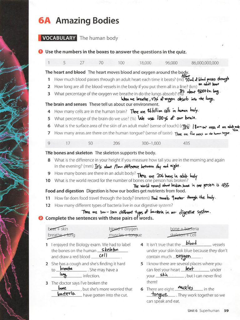 Ted Talks Perspectives2 | PDF | Prosthesis | Medical Specialties